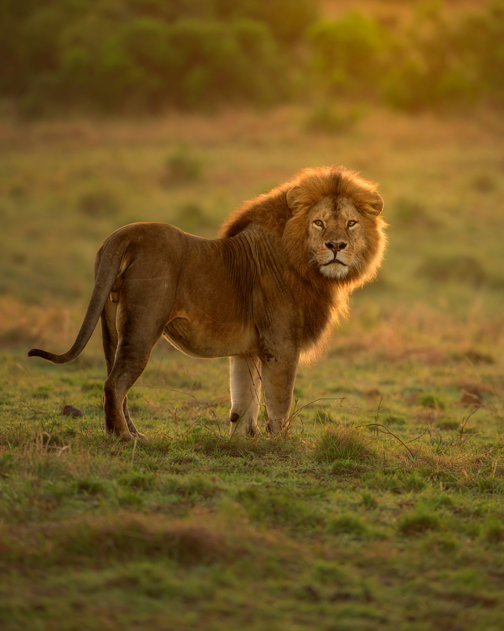 Journal | Khaldoon Aldway Nature & Wildlife Photography